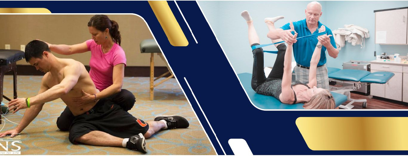 Dynamic Neuromuscular Stabilization Course A+B - Learnovate